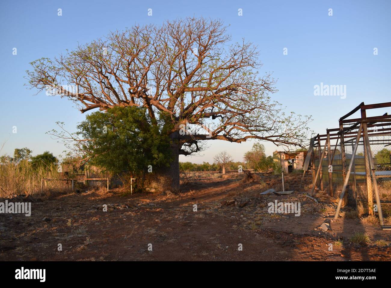 Old Noonkanbah Station Stock Photo - Alamy