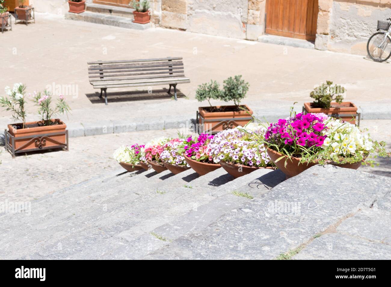 Colorful flower bouquets on a outdoor stair in Cefalù, Sicilia, Italy ...