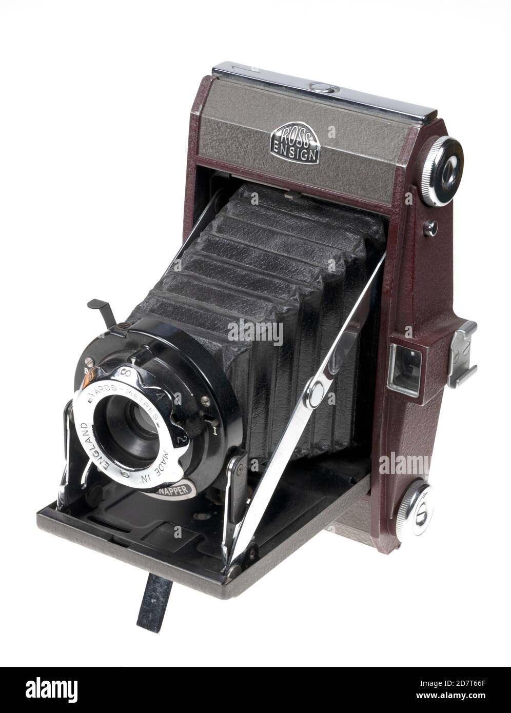 Ross Ensign Snapper Camera Clipart