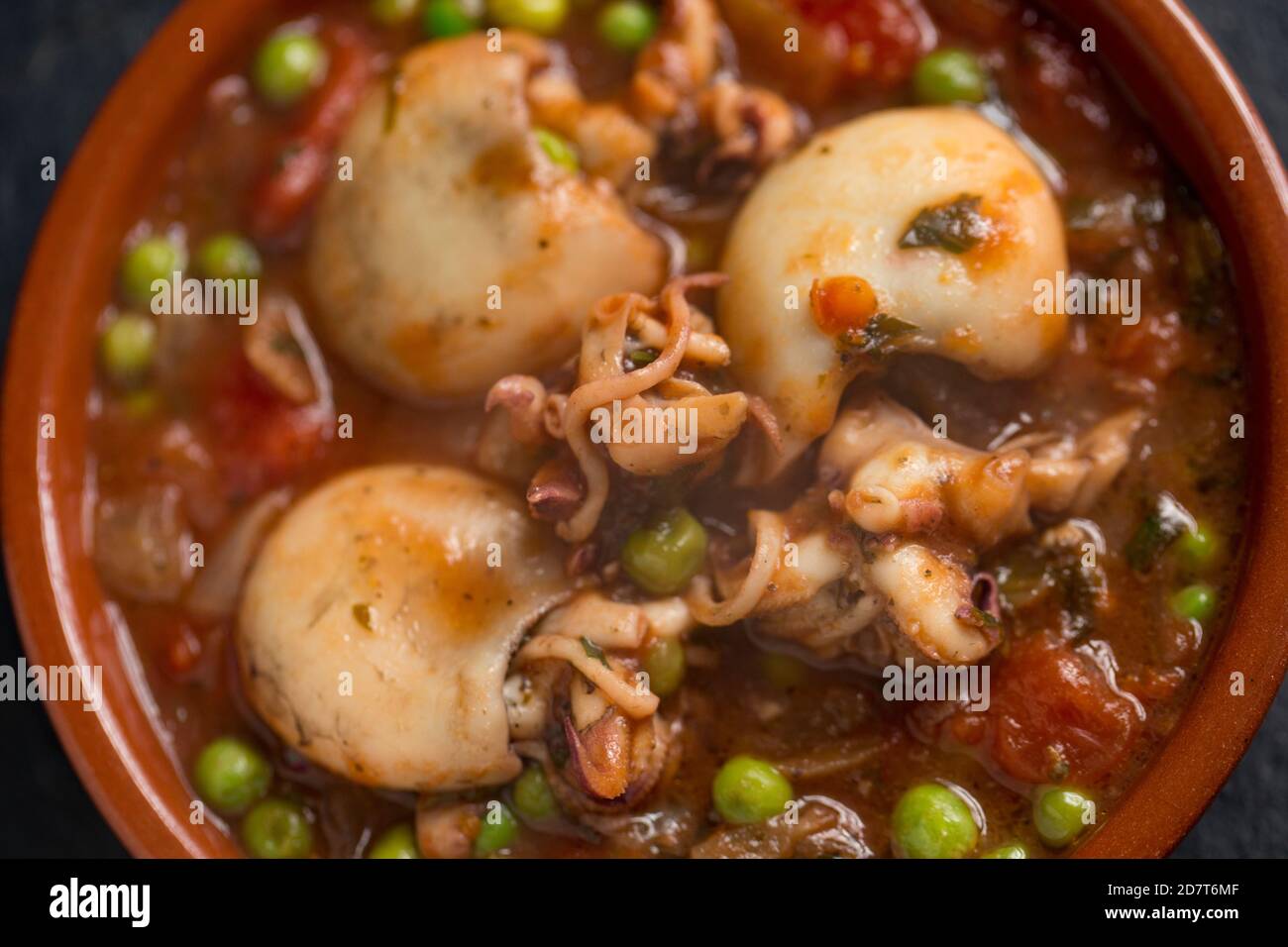 S officinalis uk hi-res stock photography and images - Alamy