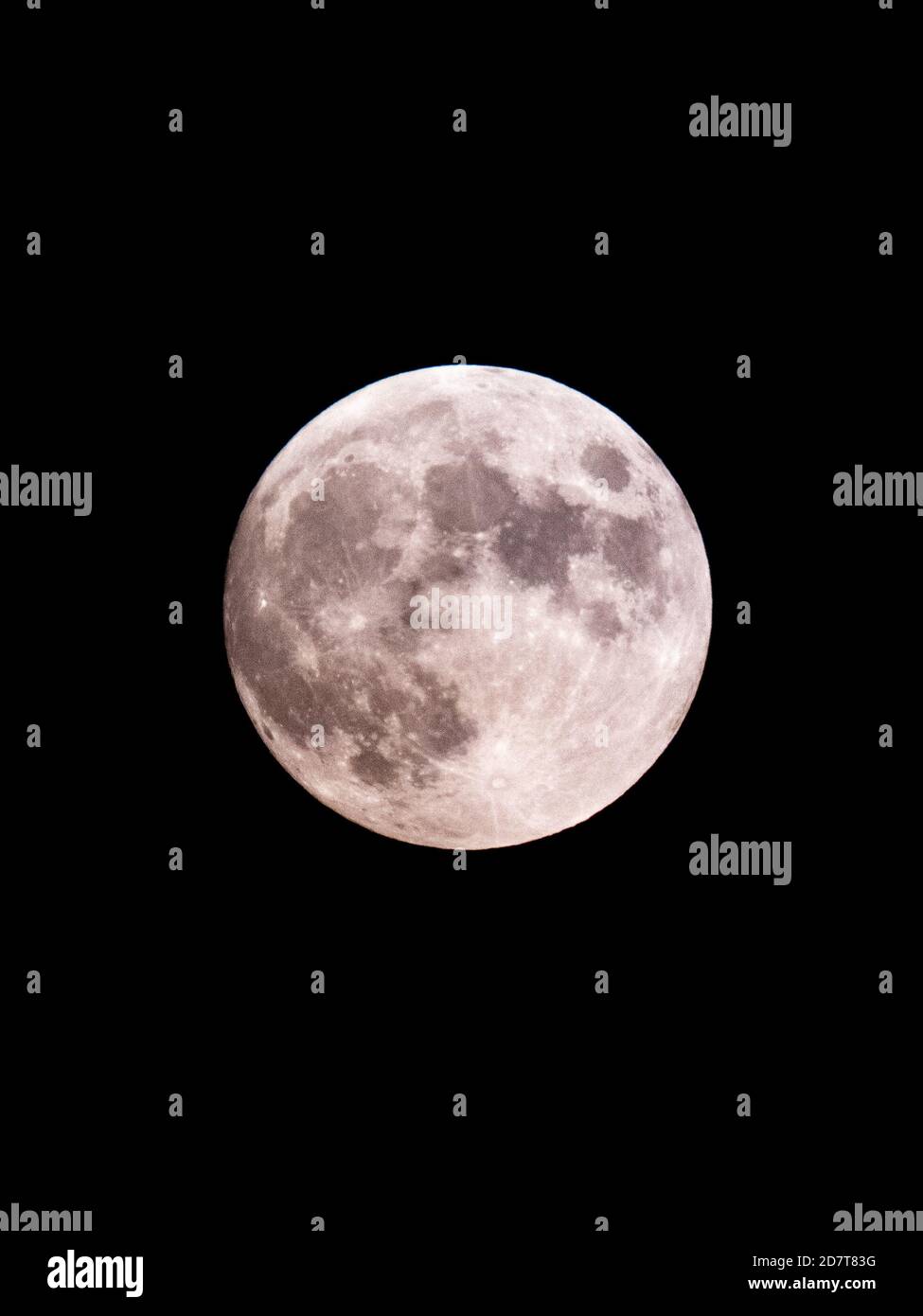 Closeup of a big moon in its full phase with craters visible on its ...