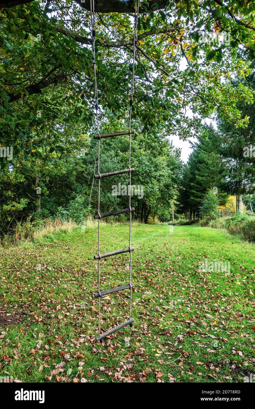 Childs rope ladder hanging from a tree in an English country garden ...