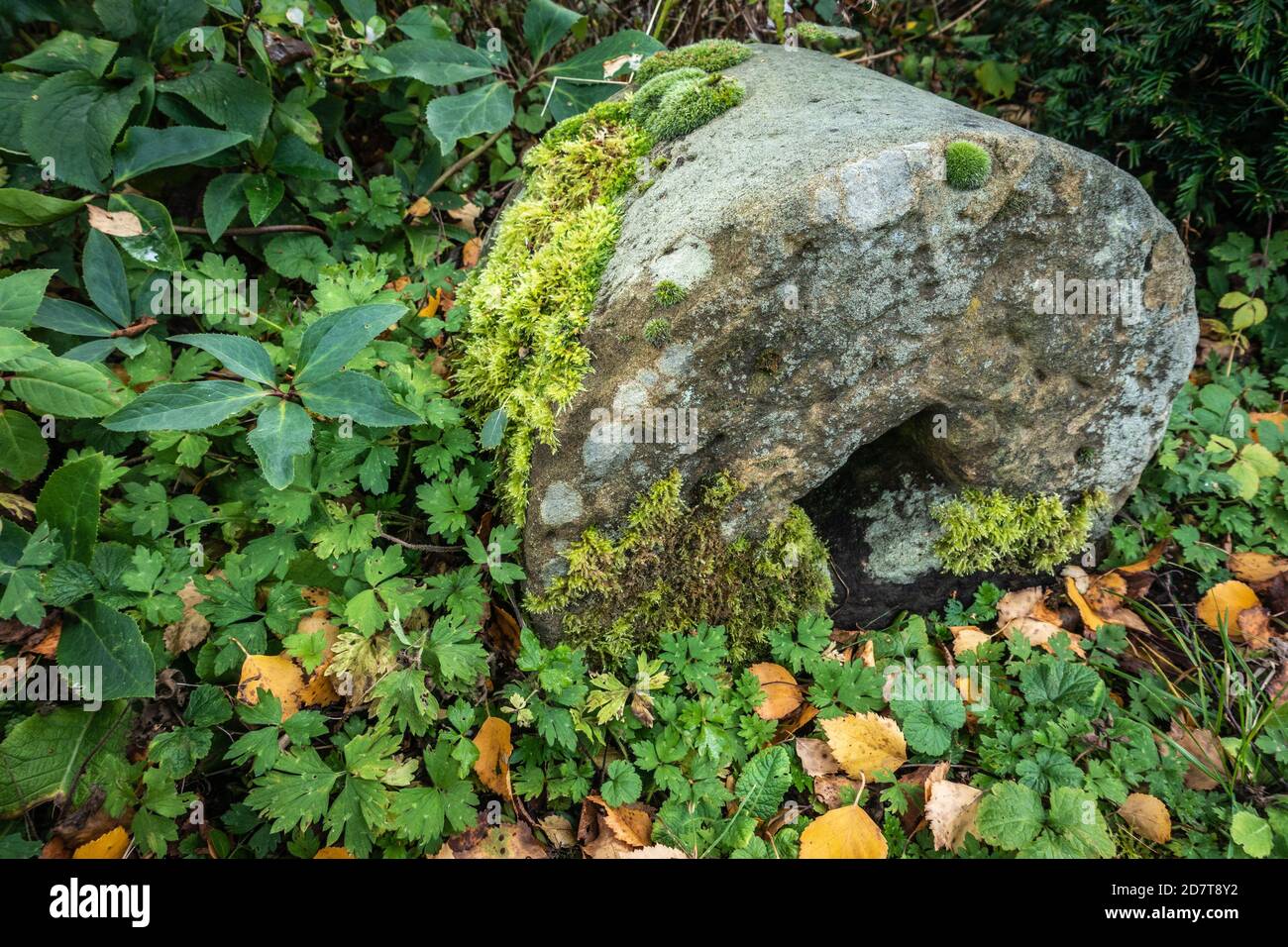 Old stone grinding wheel hi-res stock photography and images - Alamy