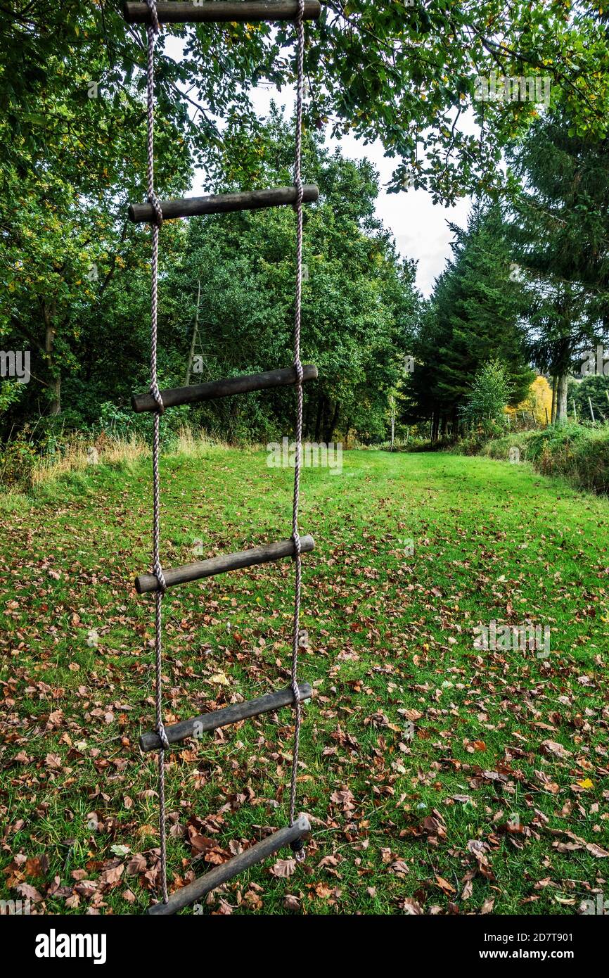 Childs rope ladder hanging from a tree in an English country garden ...