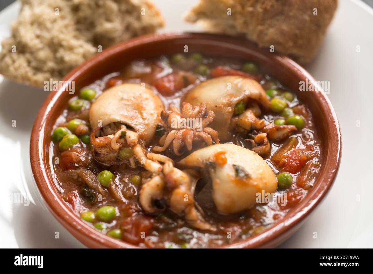 Cuttlefish, Sepia officinalis, that were caught in the English Channel ...