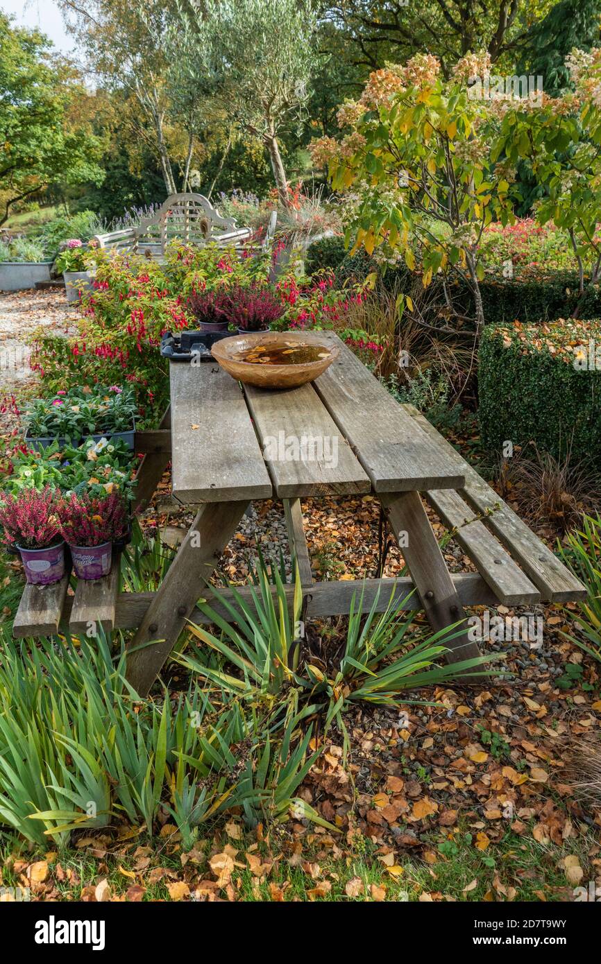 5 foot Garden table bench seat in a pretty small garden Stock Photo - Alamy