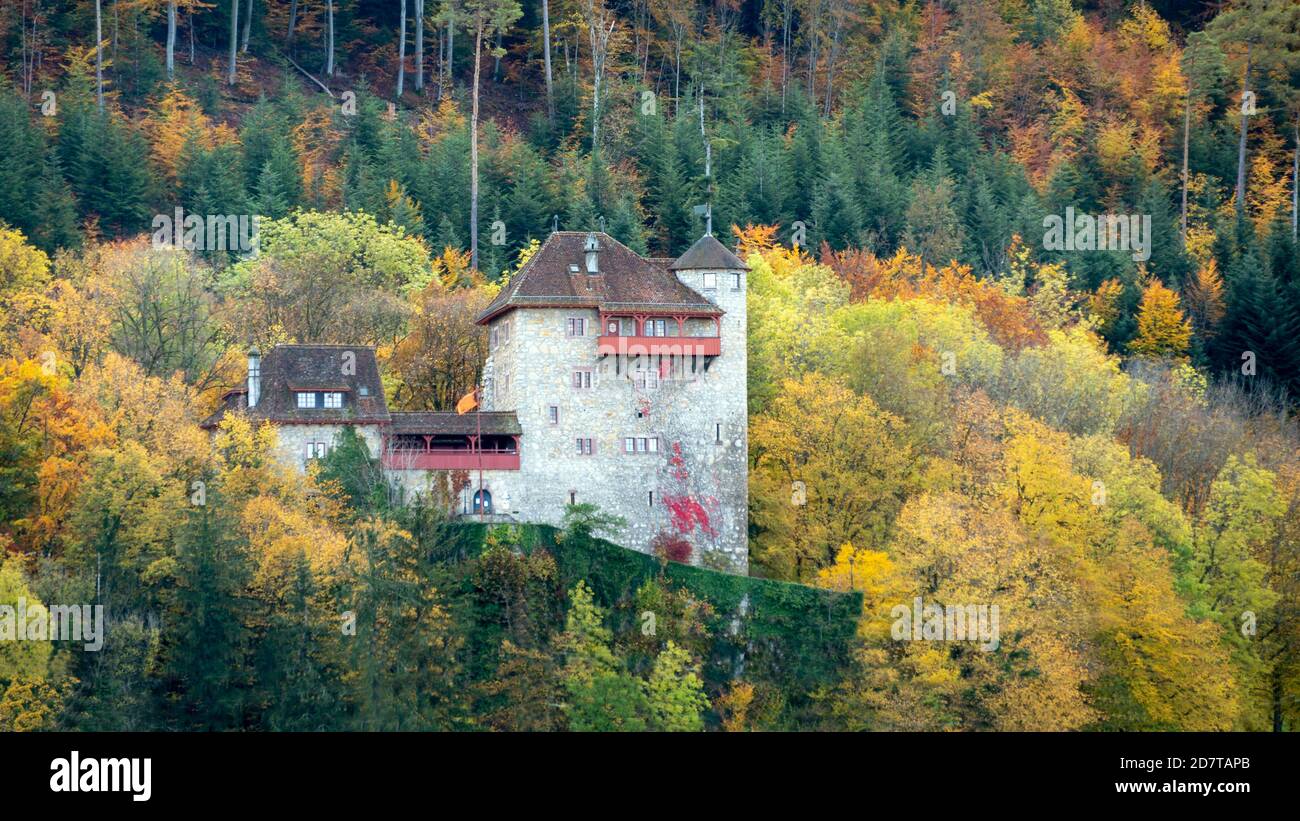 Medieval castle in the forest Stock Photo - Alamy