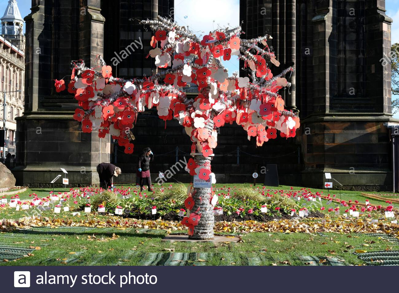 Edinburgh, Scotland, UK. 25th Oct 2020. Poppy Scotland Appeal, Scotland ...