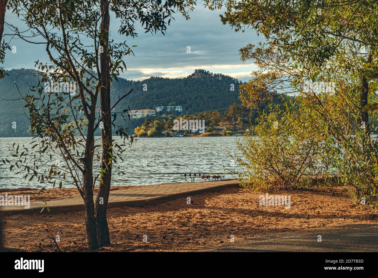 Blue tree angler fish hi-res stock photography and images - Alamy
