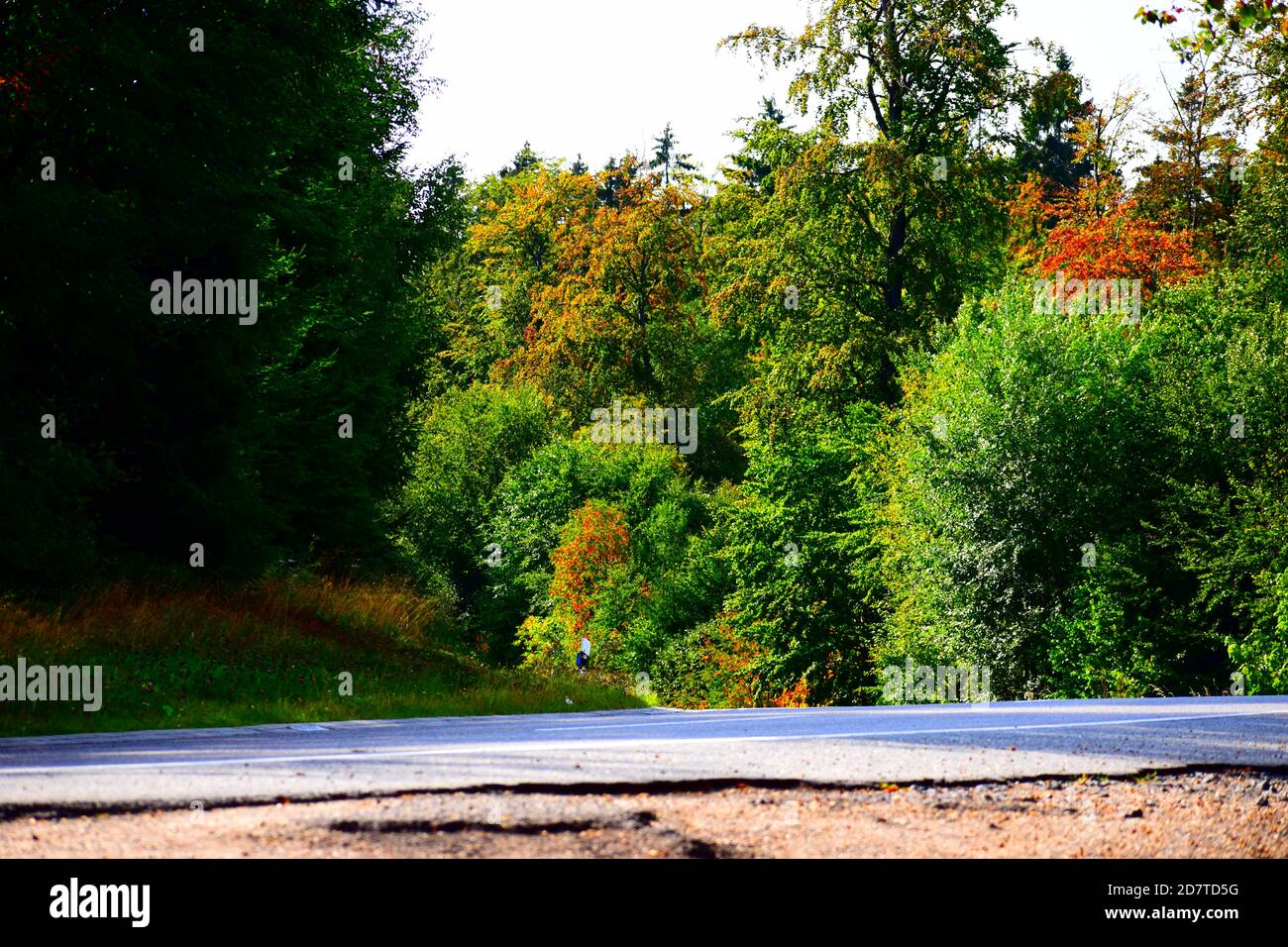 bad old road in autumn Stock Photo - Alamy