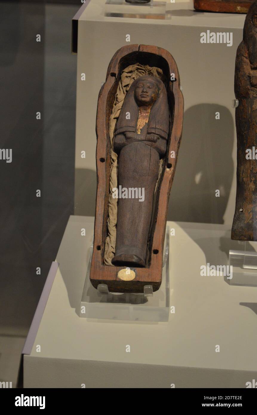 Exhibition Of Mummies Artifacts And Egyptian Finds At The Egyptian