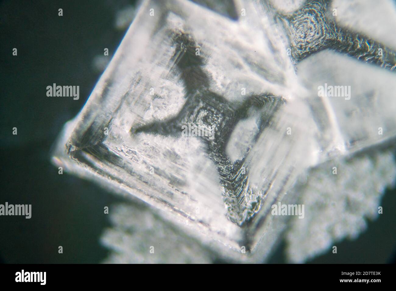 Image of crystals with magnification in a microscope Stock Photo - Alamy