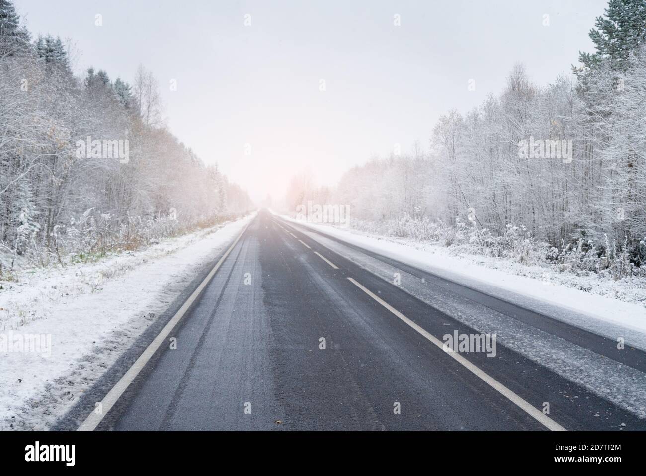 Winter road through the forest Stock Photo - Alamy