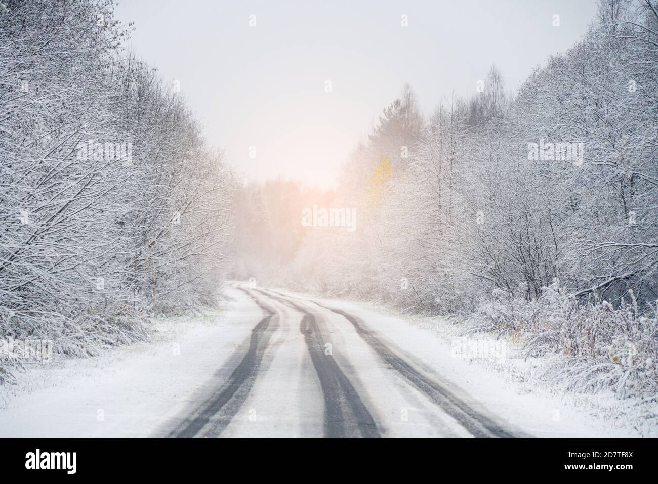 Winter road through the forest Stock Photo - Alamy