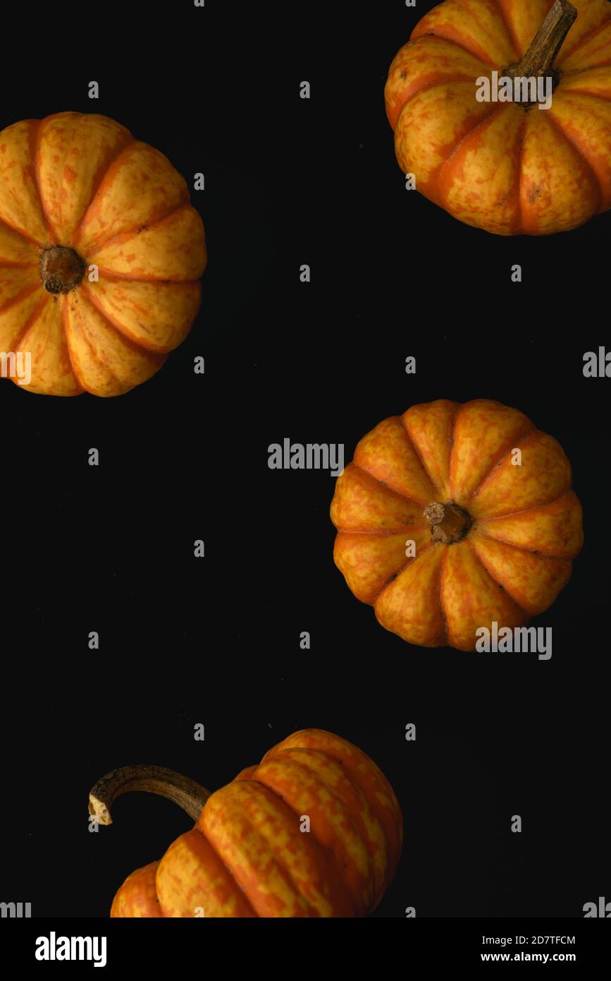 Hooligan pumpkins hi-res stock photography and images - Alamy