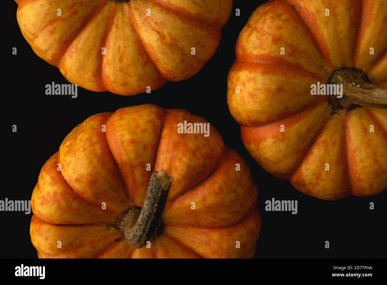 Hooligan pumpkins hi-res stock photography and images - Alamy