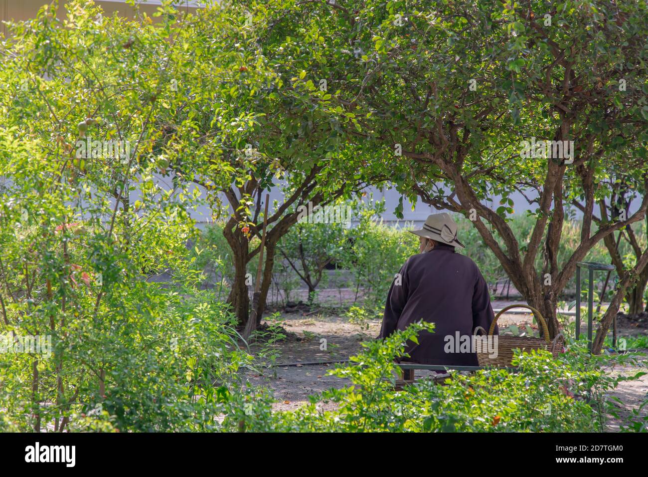 Gardener woman relaxing sitting under tree in a green garden at summer ...