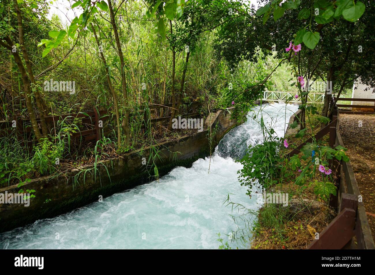 Tel dan nature reserve israel hi-res stock photography and images - Alamy