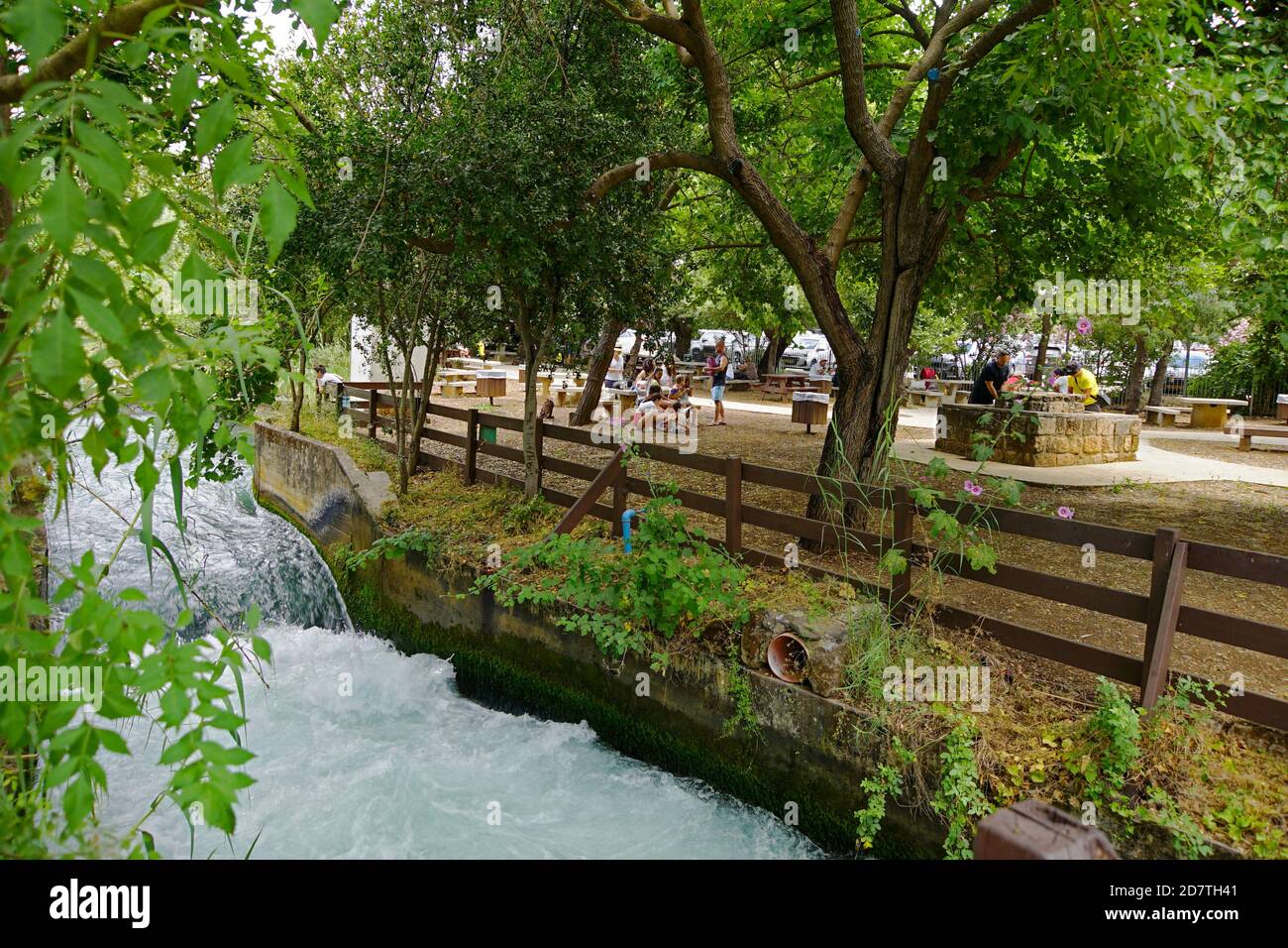 Israel, Upper Galilee, Dan river [a tributary of the Jordan River] in ...
