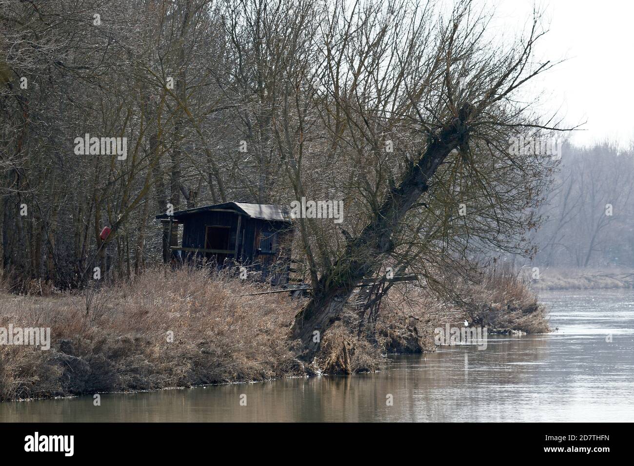 The river March in Lower Austria with fisher huts on the bank Stock ...