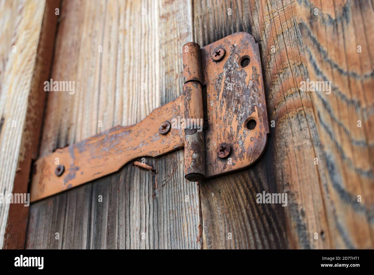 Rusty Door Hinge