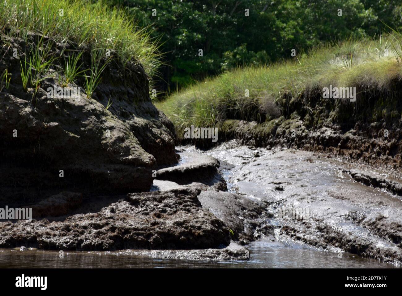 Spring day with a tributary off of North River in Massachusetts Stock ...