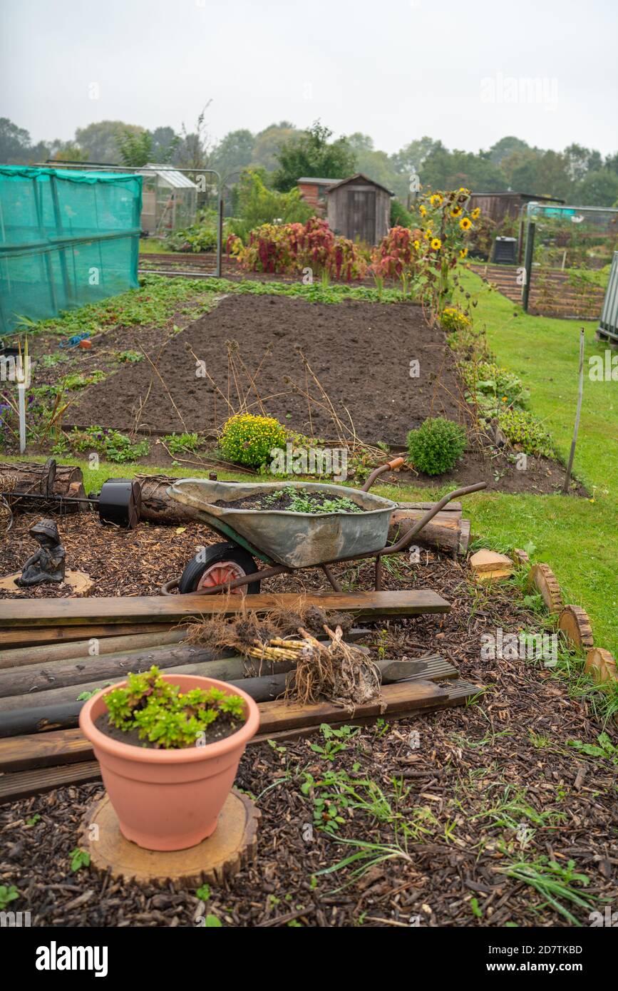 Taking on an allotment vegetable patch, compost heap, cabbage patch ...