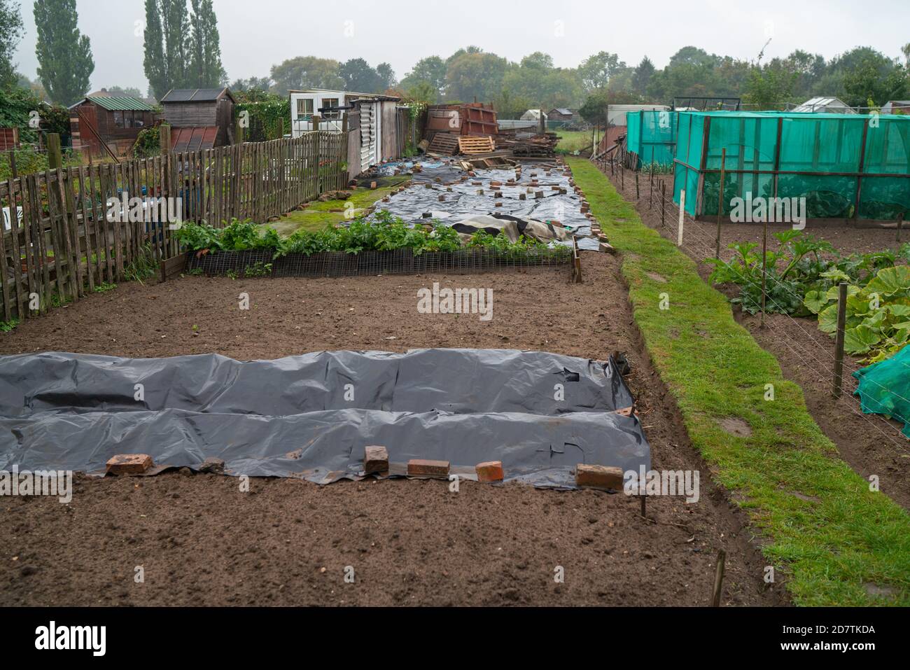 Taking on an allotment vegetable patch, compost heap, cabbage patch ...