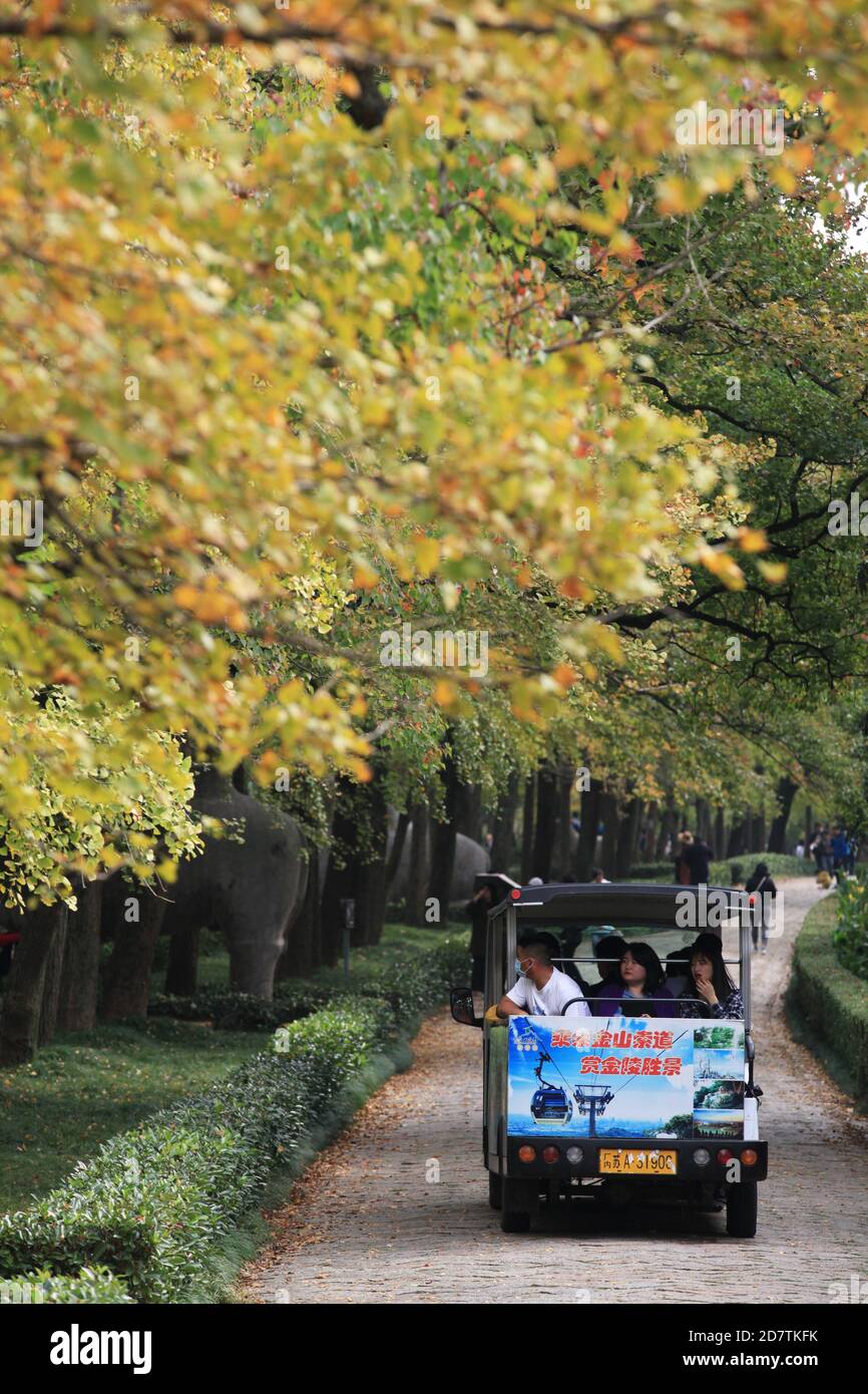 Nanjing, Nanjing, China. 25th Oct, 2020. JiangsuÃ¯Â¼Å'CHINA-Visitors ...