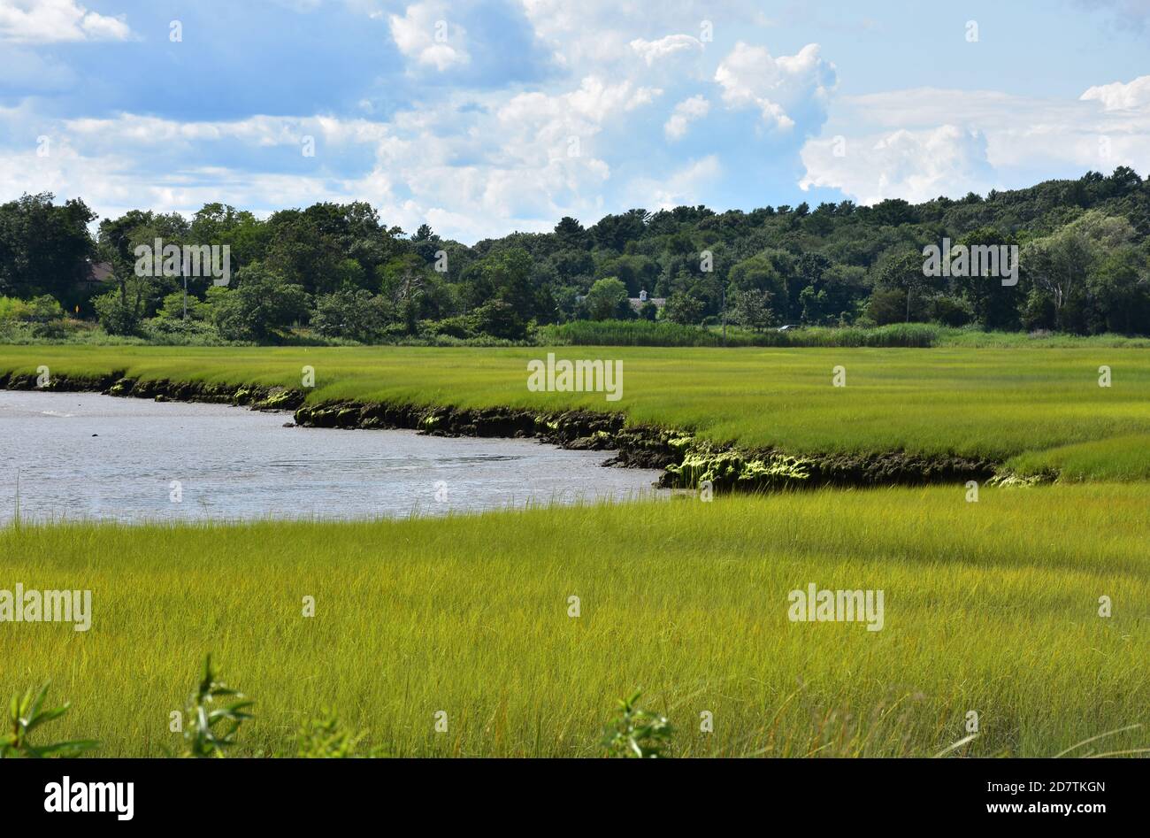 Beautiful views along North River with marsh grasses Stock Photo - Alamy