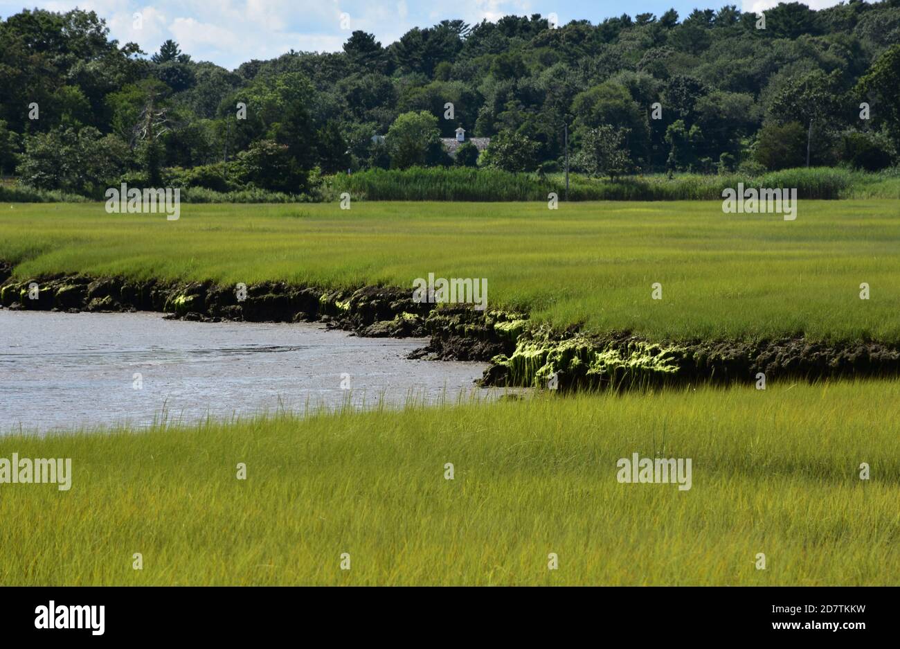 Swamp river flats scenic hi-res stock photography and images - Alamy