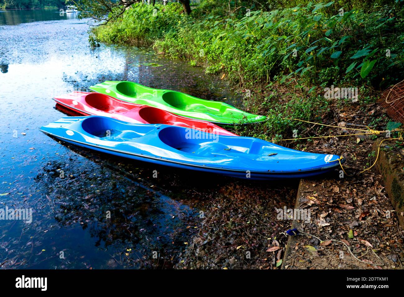 Fiber boats in different tied at a lake shore, high angle shot Stock ...