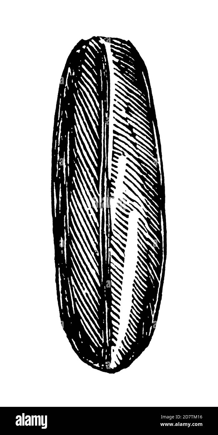 Bread loaf on black Black and White Stock Photos & Images - Alamy