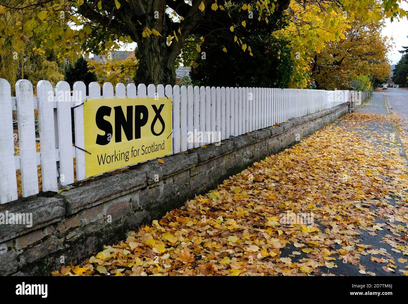Snp branch hi-res stock photography and images - Alamy