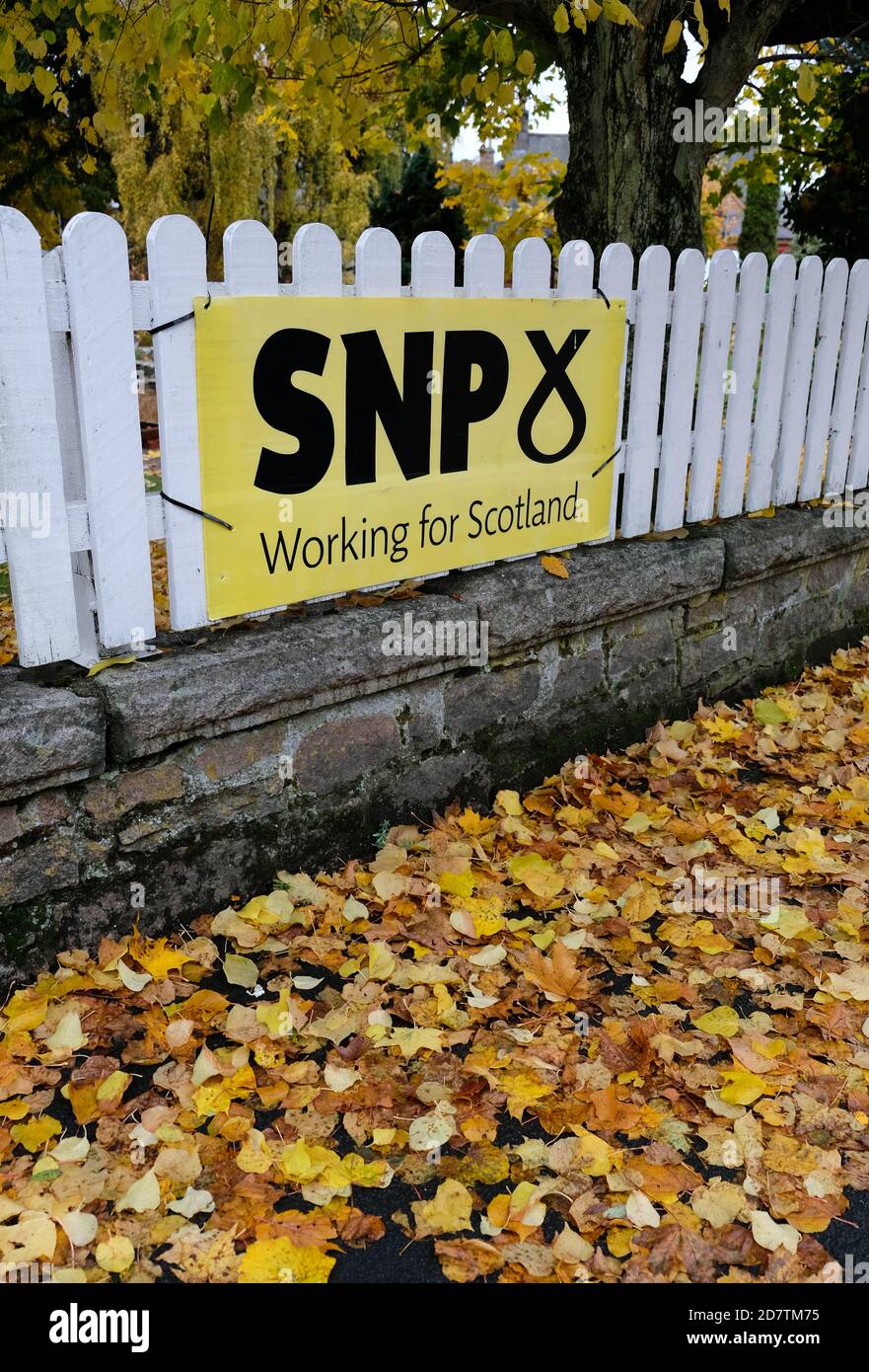Snp branch hi-res stock photography and images - Alamy