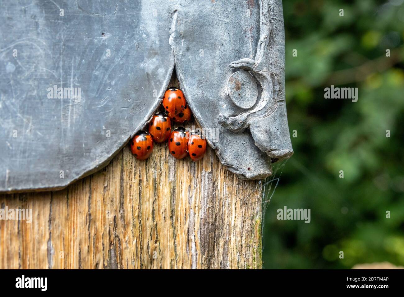 Welcome to church hi-res stock photography and images - Alamy