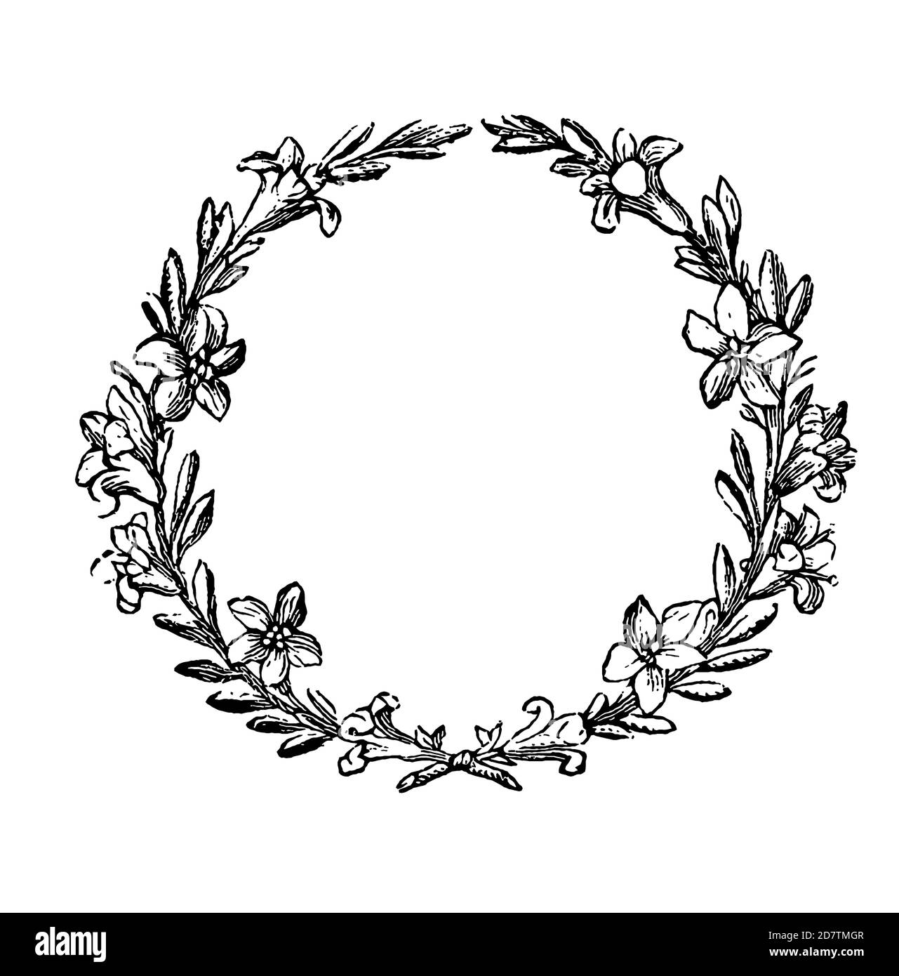 Vintage Decorative Border Frame Design - Antique Classic Typographic ...