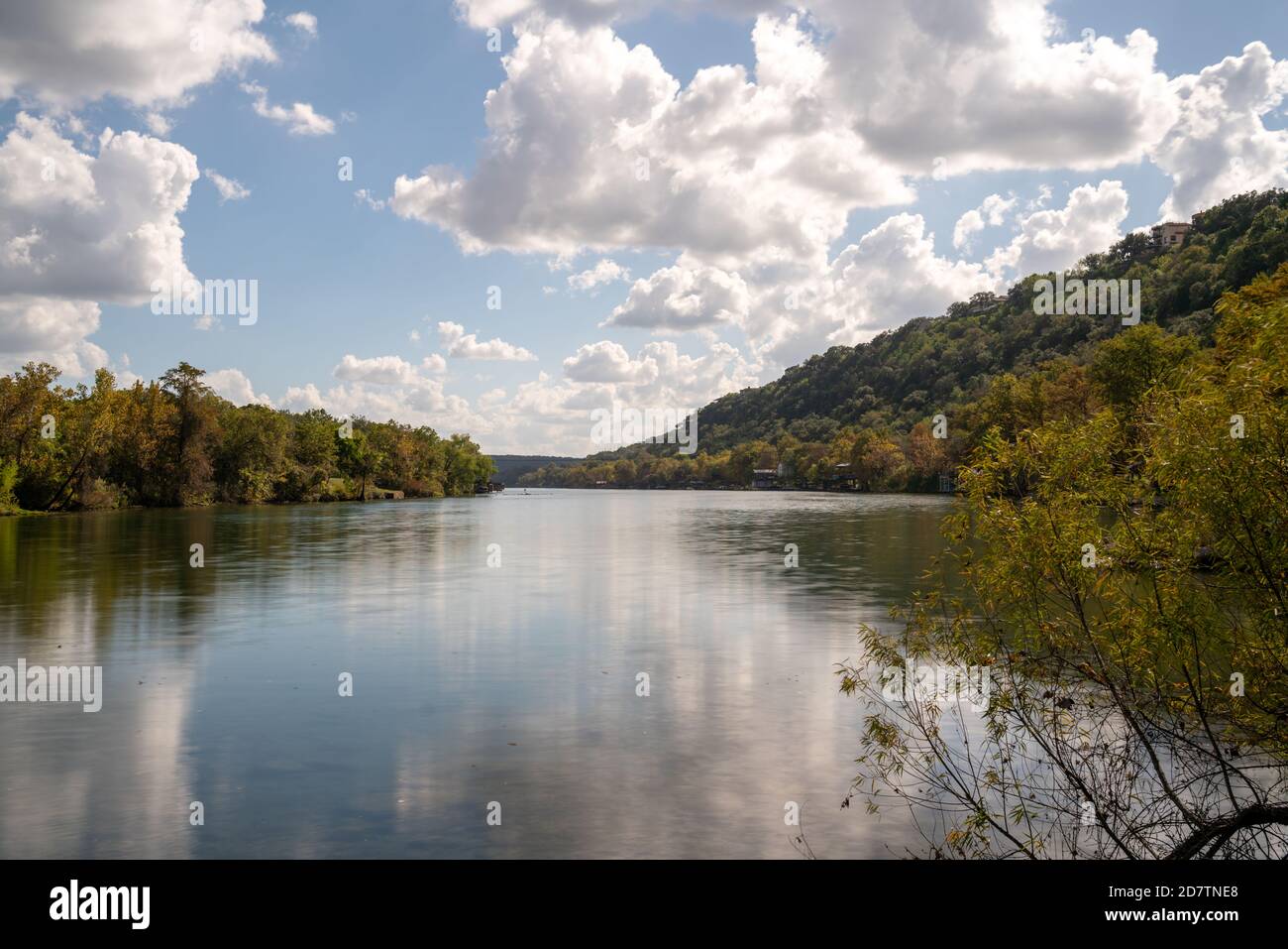 Austin texas vegetation hi-res stock photography and images - Alamy