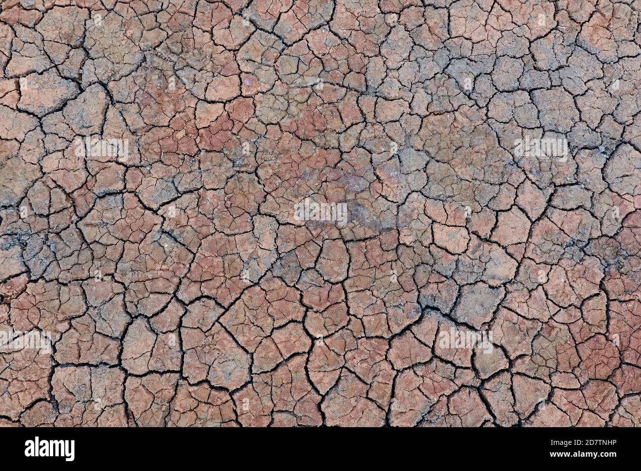 Gamibia hi-res stock photography and images - Alamy