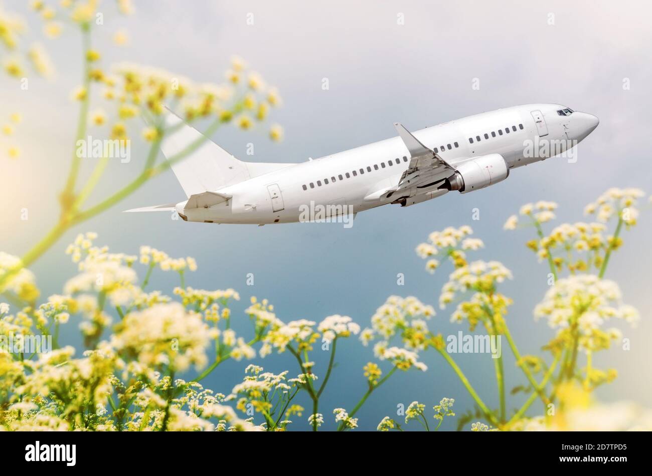Passenger commercial airplane flies over flower fields at the airport ...