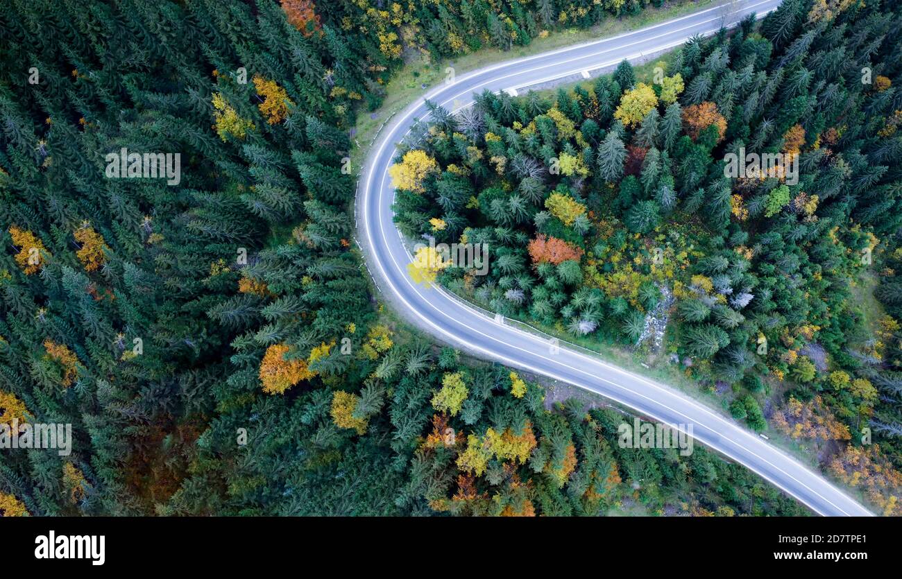 Top view, road through dense forest. Aerial view Stock Photo - Alamy