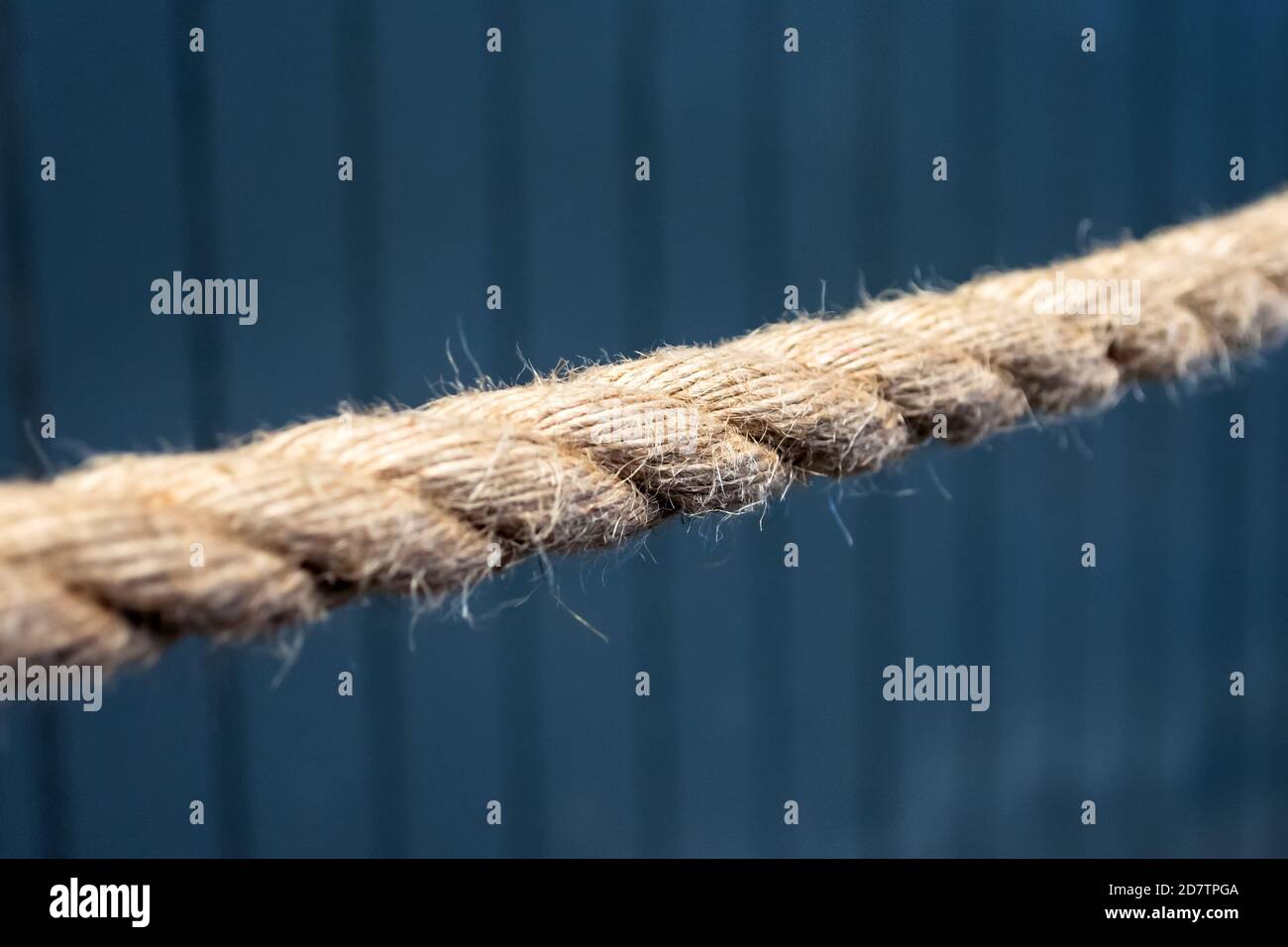 Hanging rope wool close-up on blurred background Stock Photo - Alamy