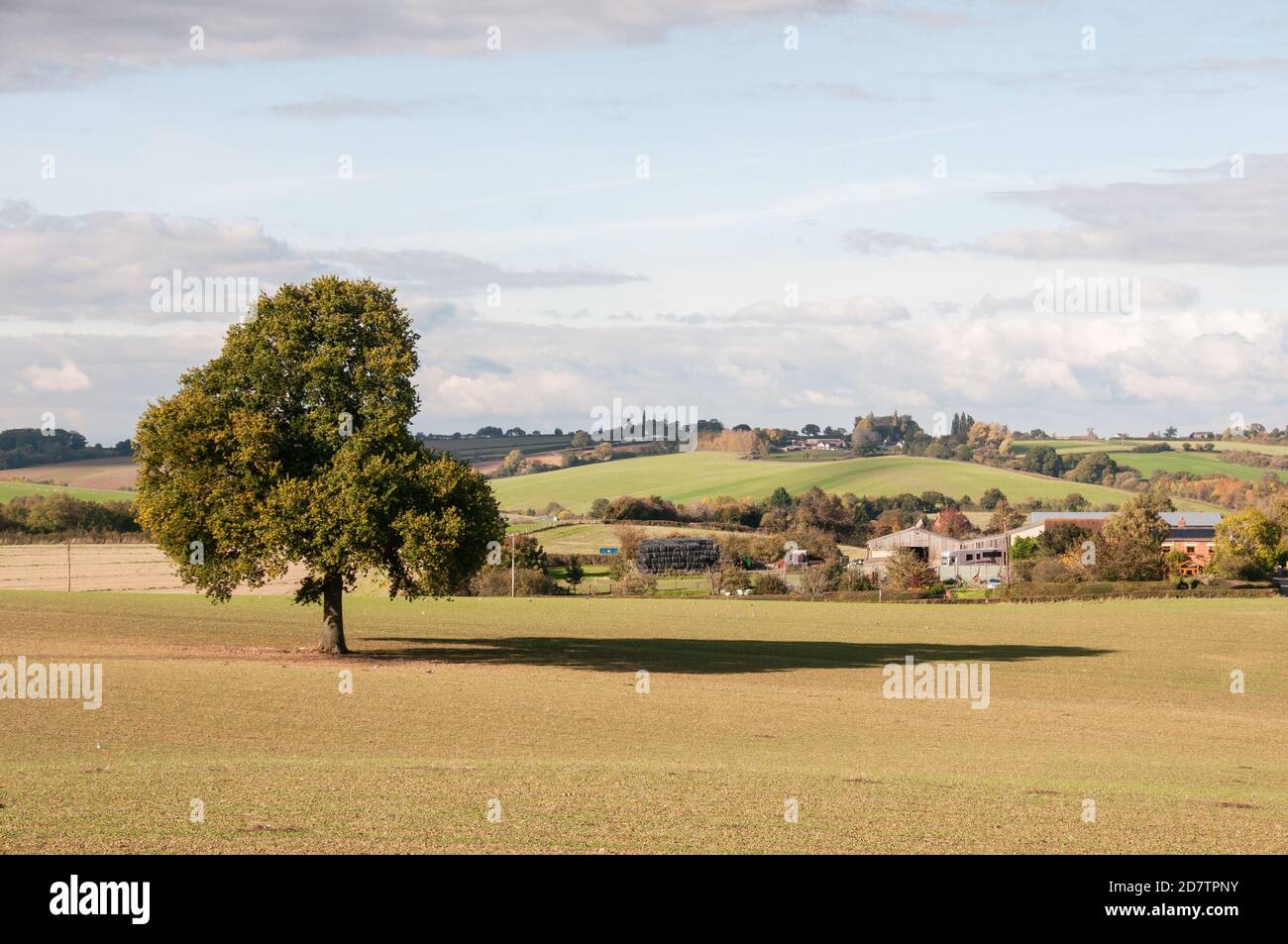 Around the UK - Abberley Hill Circular Walk, Abberley , Worcestershire ...