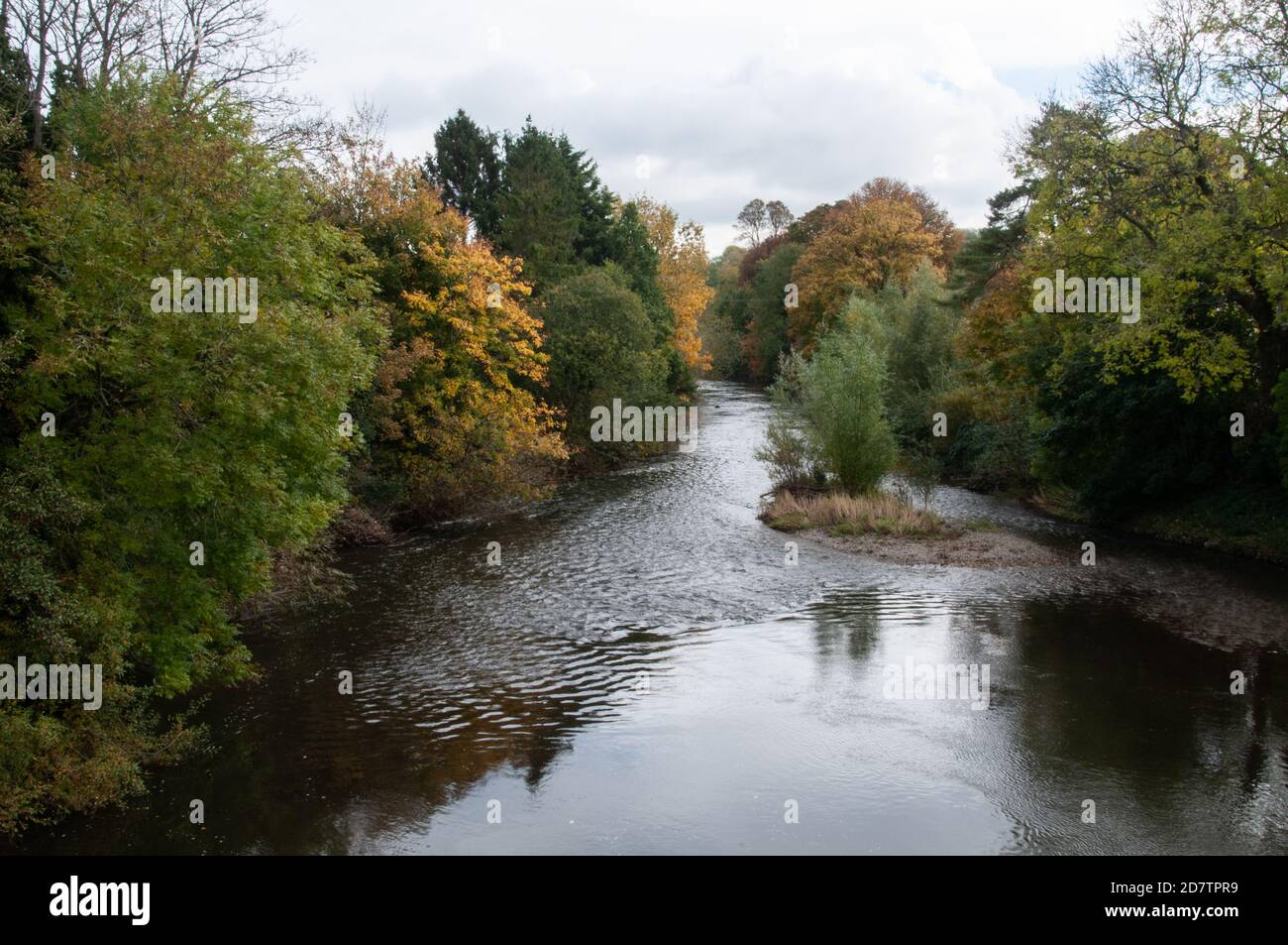 Around the UK - The River Teme at Ludlow, Shropshire Stock Photo - Alamy