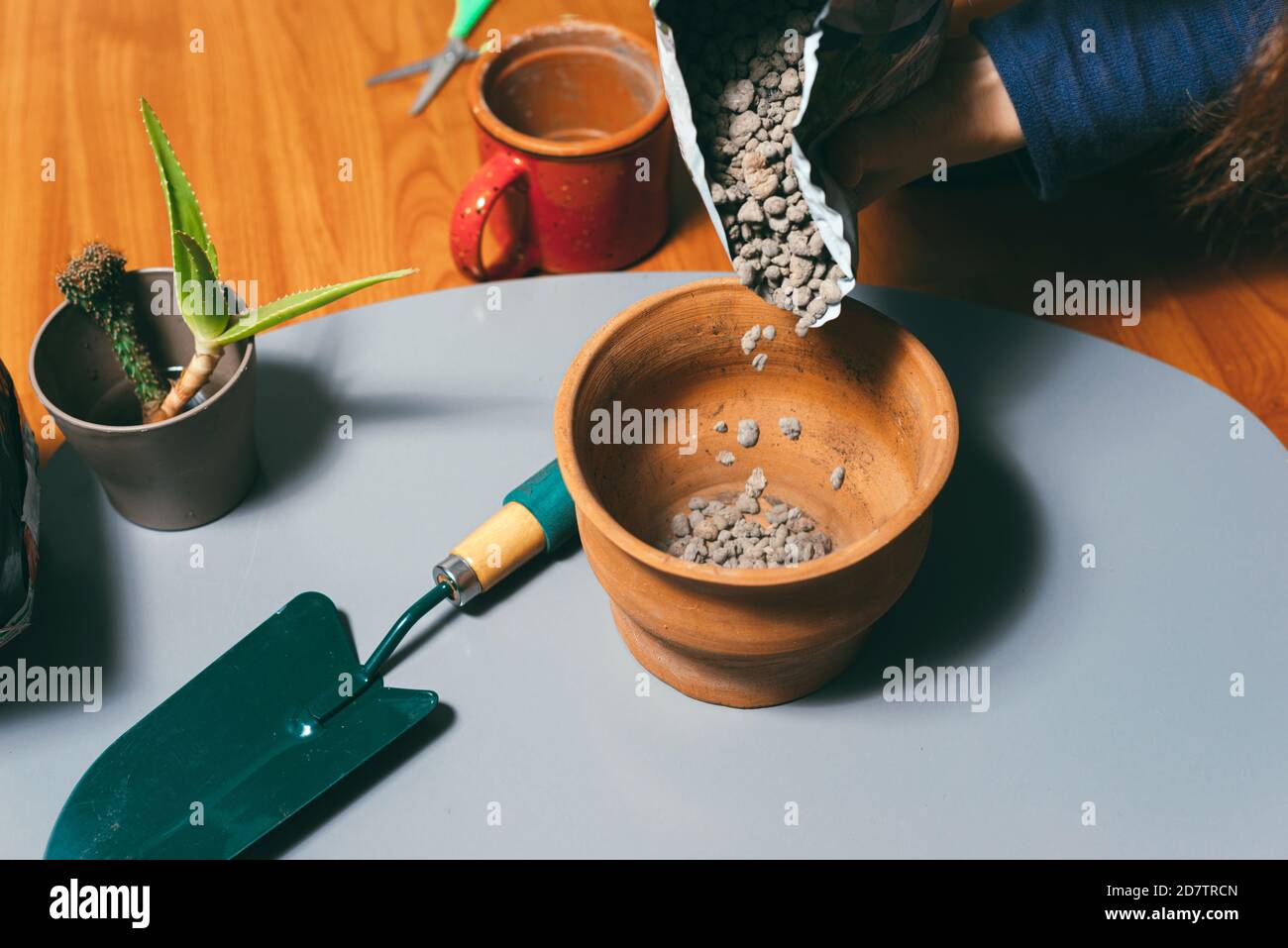 Pot plating hi-res stock photography and images - Alamy
