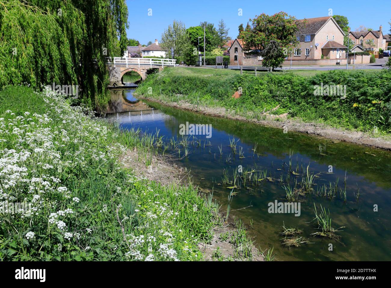 Summer view of Alconbury Brook, Alconbury village, Cambridgeshire ...