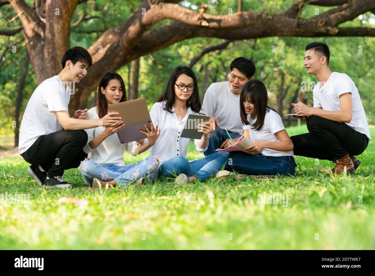 Team of young students studying in a group project in the park of ...