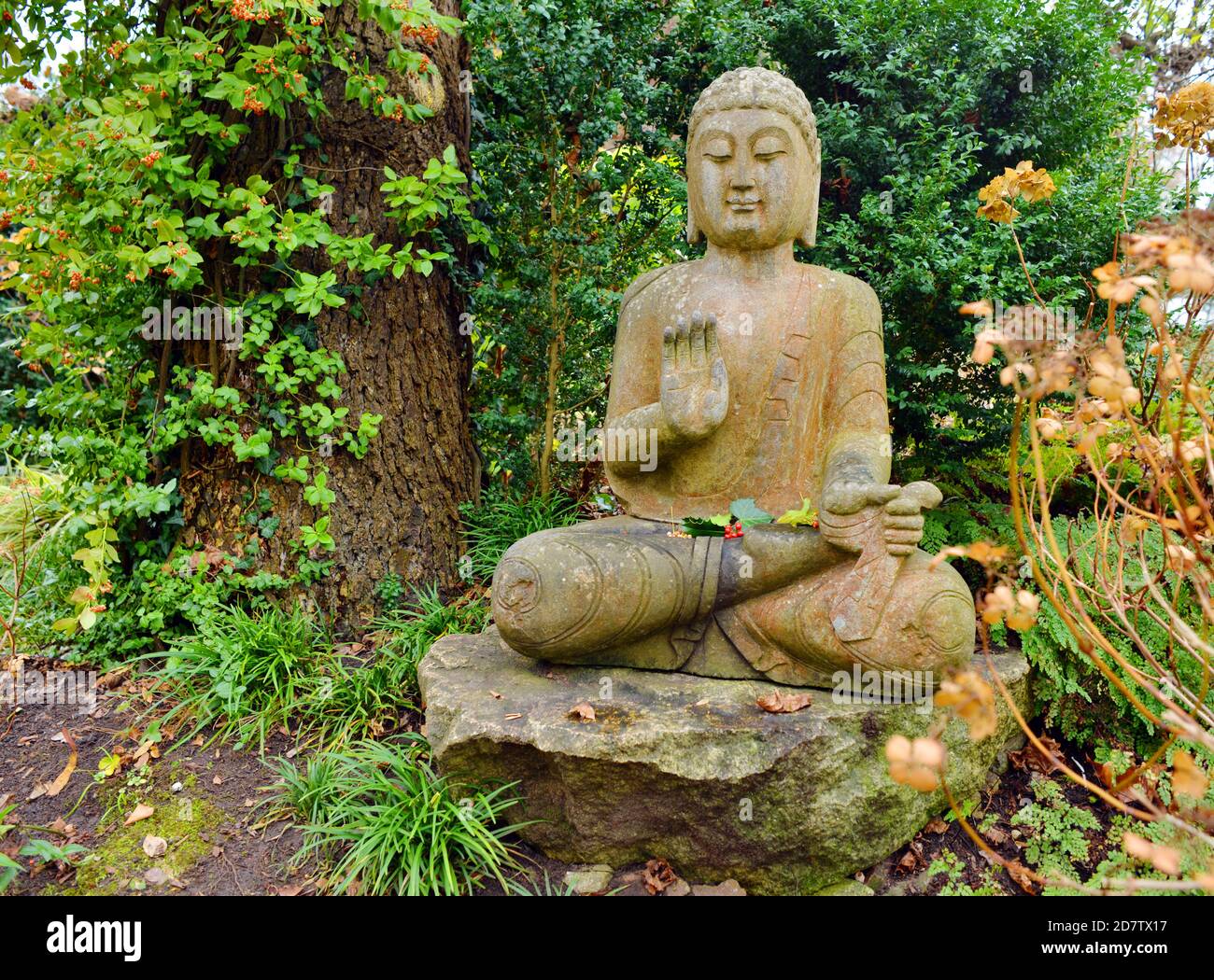Buddah statue in a garden in autumn season Stock Photo - Alamy