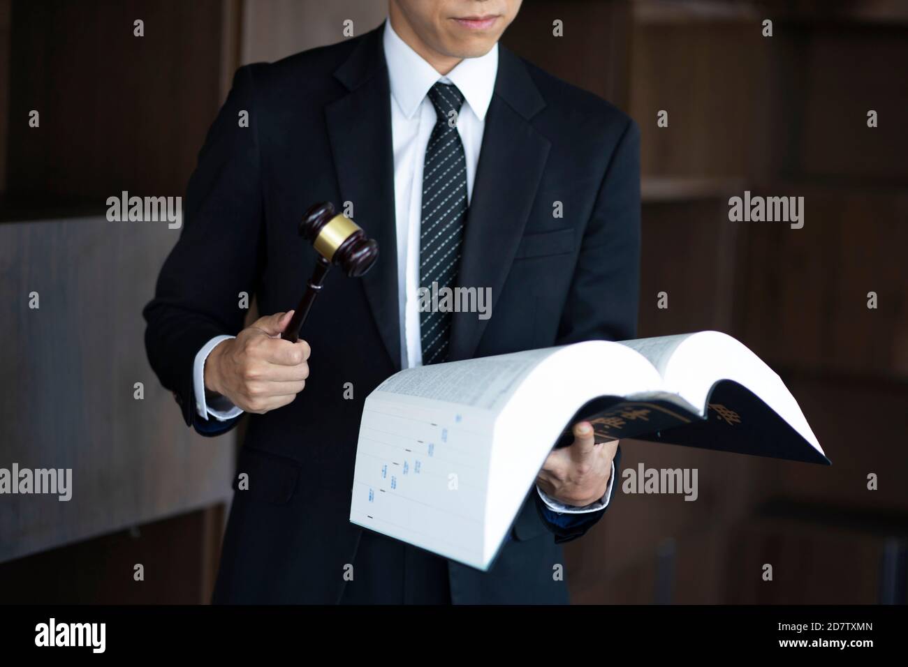 Lawyer holding gavel and law book Stock Photo - Alamy