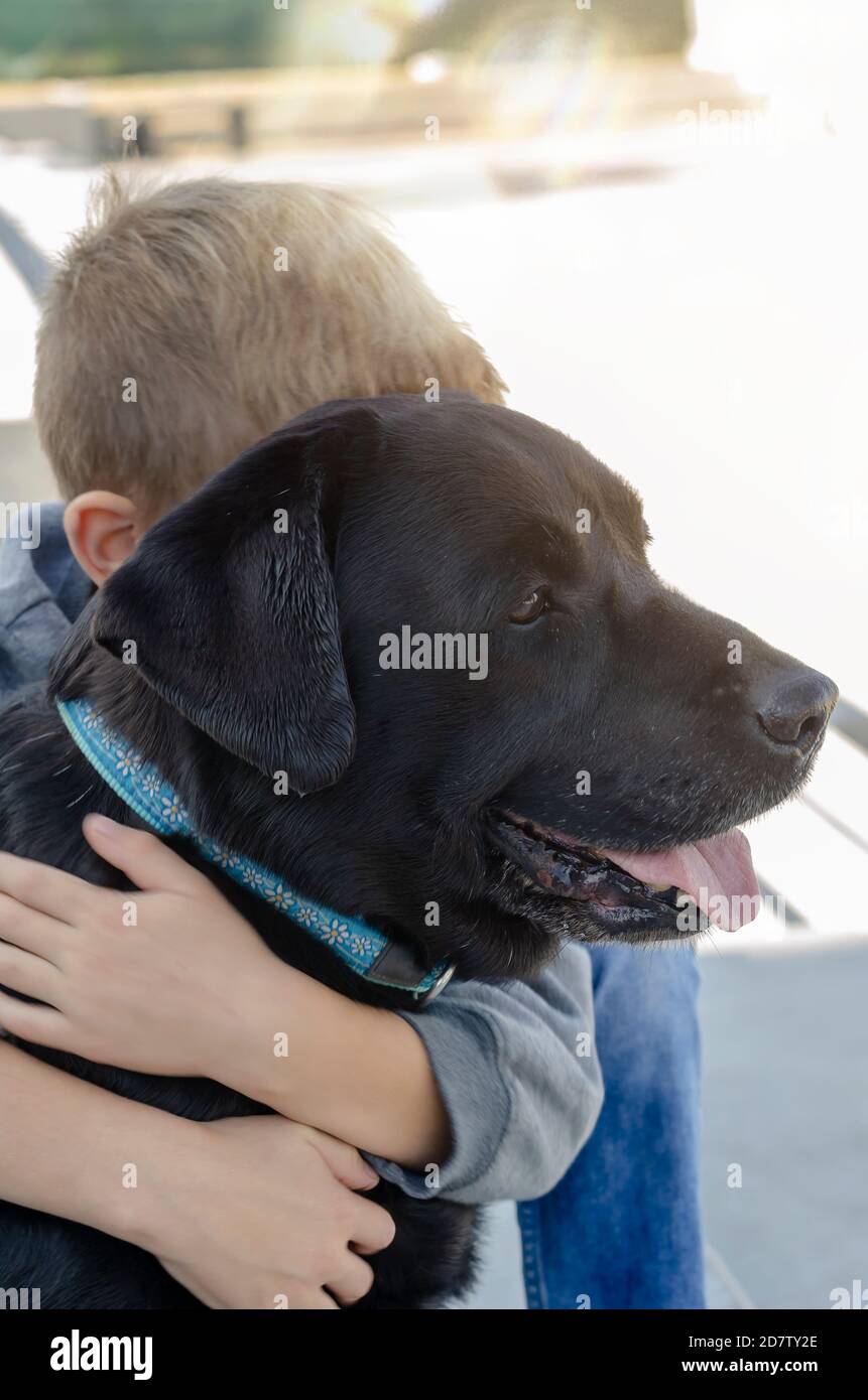 Boy hugs black dog in blue collar outside. Portrait of boy with blond ...